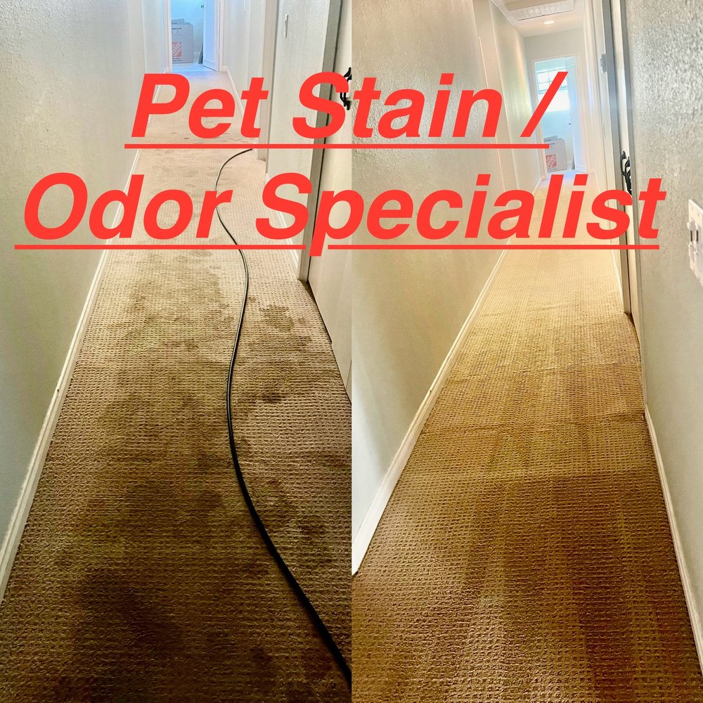 WORLD CLASS CARPET CLEANING - Updated August 2024 - 543 Photos & 325 ...