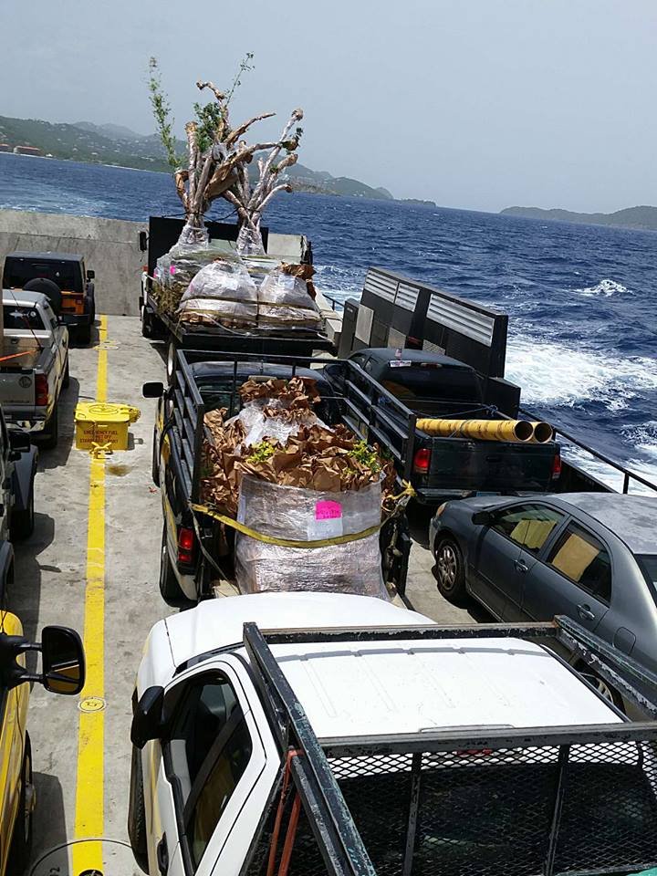 LESLIE’S TRUCKING AND IMPORT SERVICE - Updated January 2026 - 12 Photos ...