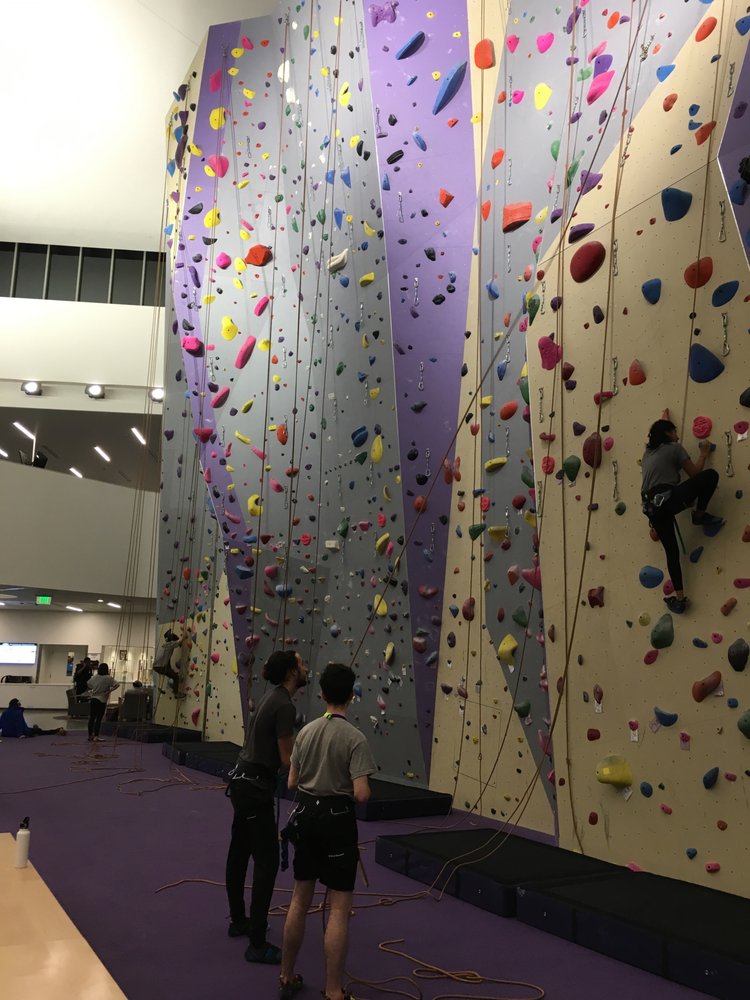 SFSU Gymnasium - Colleges & Universities - 1600 Holloway Ave ...