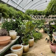 DIGGER O’DELL NURSERIES - 49 Photos - 11034 Hwy 64, Arlington ...
