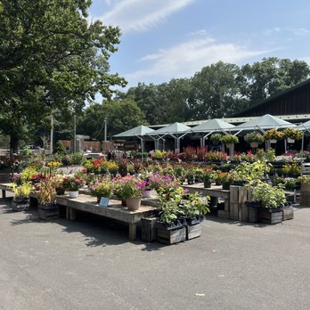 LINVILLA ORCHARDS - Updated September 2024 - 1100 Photos & 470 Reviews ...