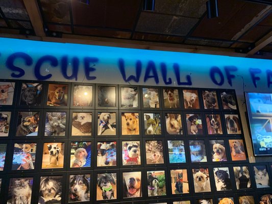 THE RIFF RAFF BAR AND GRILL - 69 Photos & 31 Reviews - 242 W Wade ...