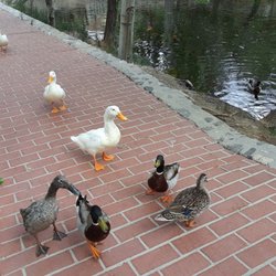 ST ANDREW’S ABBEY - 120 Photos & 24 Reviews - 31001 N Valyermo Rd ...