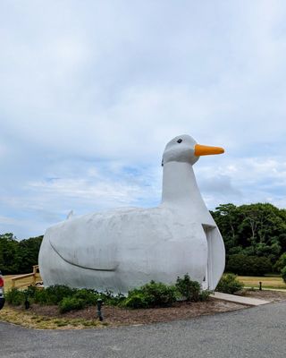 THE BIG DUCK - Updated May 2026 - 145 Photos & 73 Reviews - 1012 Rte 24 ...
