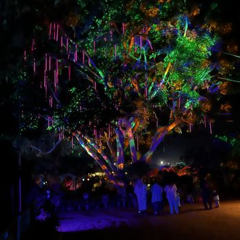 LIGHTSCAPE SAN DIEGO - Updated October 2025 - 250 Photos & 59 Reviews ...