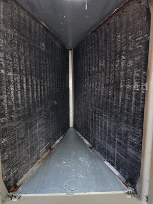 AC ALL STARS - Updated August 2024 - 12 Photos - Bartow, Florida ...