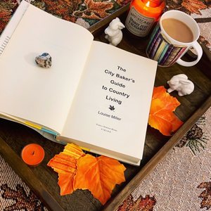 ST. CHARLES CITY-COUNTY LIBRARY - WINGHAVEN - Updated January 2025 ...