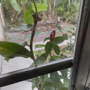 JESSE DURKO’S NURSERY - Updated September 2024 - 96 Photos & 36 Reviews ...