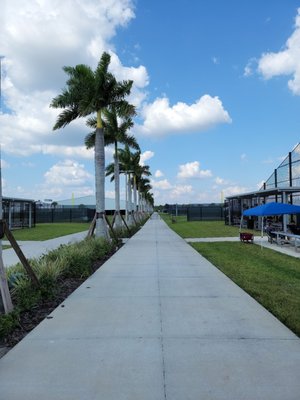 COOL TODAY PARK - 48 Photos & 21 Reviews - 18800 S West Villages Pkwy, Venice, Florida - Yelp ...