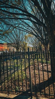 WASHINGTON PARK / JJ BYRNE PLAYGROUND - Updated May 2026 - 75 Photos ...