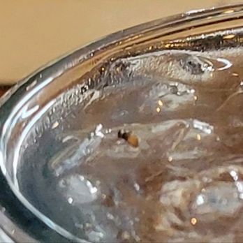 FRANCO DI ROMA - Updated January 2026 - 50 Photos & 96 Reviews - 357 Rt ...