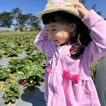 CRYSTAL BAY FARM - Updated December 2025 - 163 Photos & 78 Reviews - 40 ...