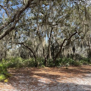 SPLIT OAK FOREST - Updated July 2025 - 85 Photos & 16 Reviews - 12901 ...