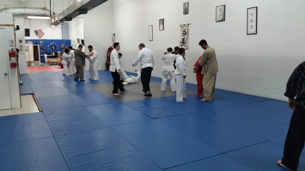 ATEMI RYU JU-JITSU - Updated November 2025 - 20 Photos - 2091 W 76th St ...