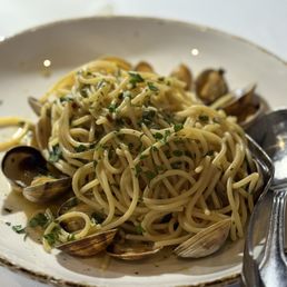 MOLO - Updated December 2025 - 387 Photos & 281 Reviews - 251 Shipyard ...