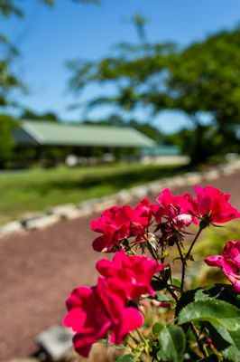 GREAT HOPE GOLF COURSE - Updated April 2026 - 45 Photos - 8380 ...