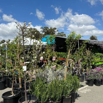 SPRING VALLEY SWAP MEET - Updated December 2025 - 440 Photos & 199 ...