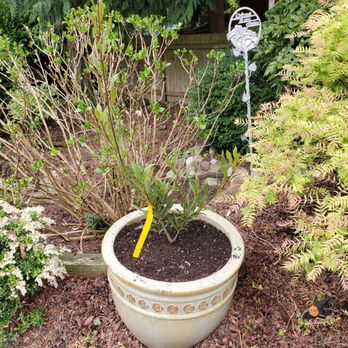 RESTORING EDEN - Updated April 2024 - 39 Photos & 30 Reviews - 3503 S ...