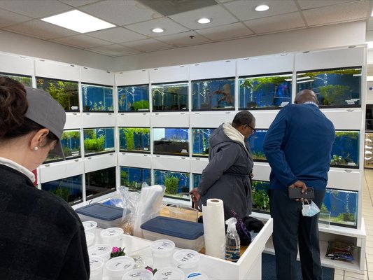 CAPITAL EXOTIC FISH - Updated October 2025 - 3404 Idaho Ave NW ...