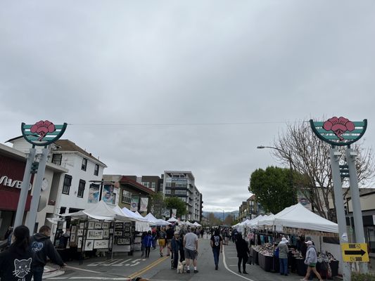 Nikkei Matsuri Festival Updated March 2026 131 Photos 14 Reviews