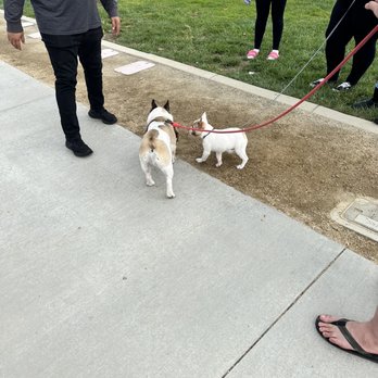 VILA BORBA PARK - Updated January 2026 - 187 Photos & 85 Reviews ...