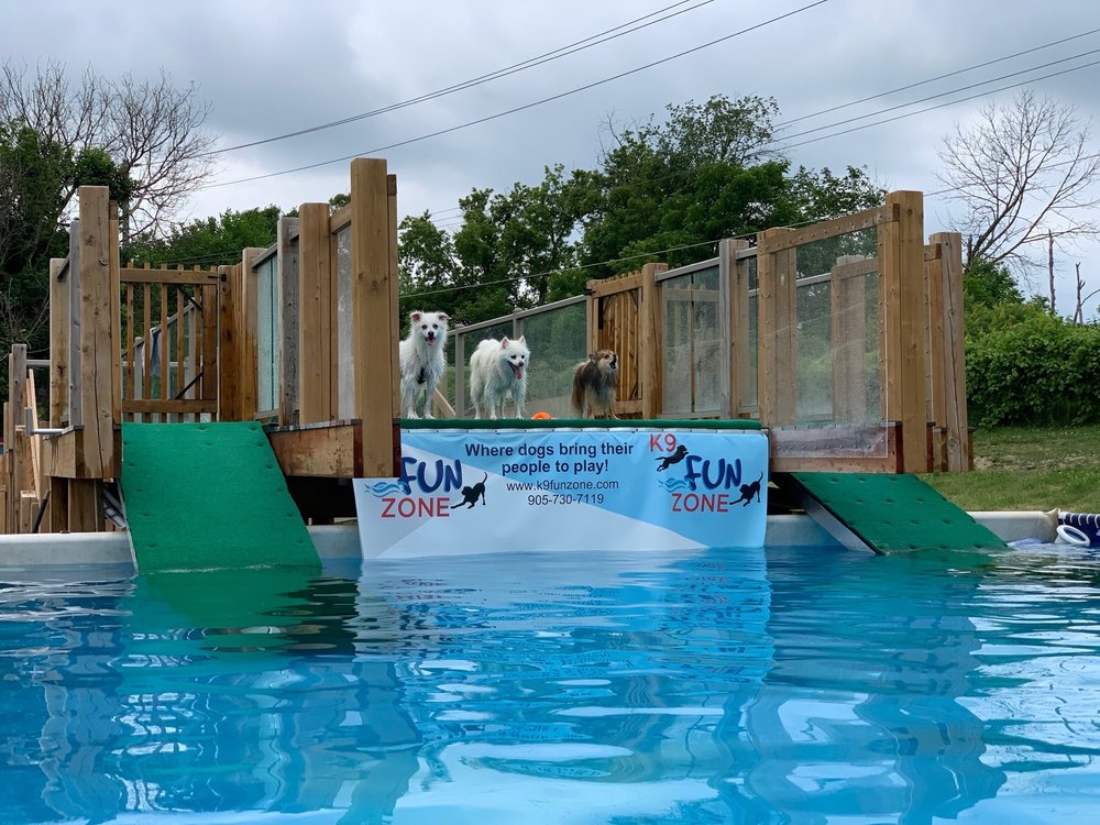 K9 FUN ZONE - Updated August 2025 - 14 Photos - 5285 Plank Rd ...