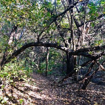 COPPERFIELD NATURE TRAILS - Updated October 2025 - 53 Photos & 15 ...