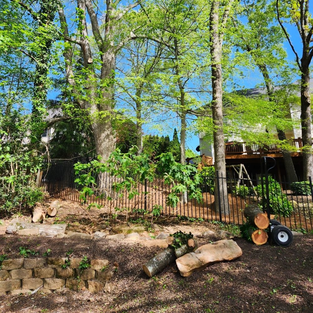 DANO’S TREEWORKS - Updated August 2025 - 17 Photos - Dahlonega, Georgia ...