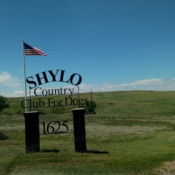 SHYLO COUNTRY CLUB FOR DOGS - Updated December 2025 - 38 Reviews - 1625 ...