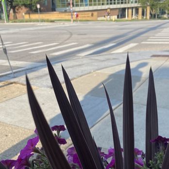 THE 86 COFFEE BAR - Updated July 2024 - 171 Photos & 96 Reviews - 2900 ...