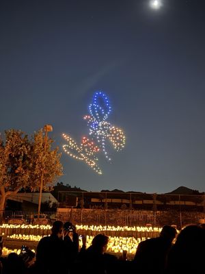 LOS ANGELES EQUESTRIAN CENTER - Updated January 2025 - 161 Photos & 81 ...