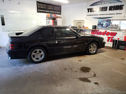 TINT MY RIDE - Updated March 2025 - 36 Photos - 16465 Forbes Ave ...