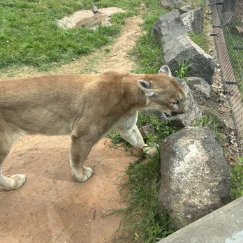 OKLAHOMA CITY ZOO - Updated March 2025 - 1145 Photos & 296 Reviews ...