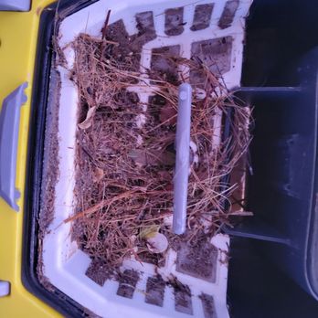 TIGER SHARK POOL SERVICE - Updated June 2025 - 25 Photos & 26 Reviews ...