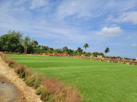 THE BERRY FARMS - 674 Photos & 153 Reviews - 13720 SW 216th St, Miami ...