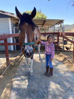 BLOSSOM HILL RANCH - Updated August 2024 - 54 Photos & 28 Reviews ...