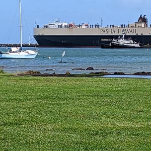 VERNA’S DRIVE IN - 148 Photos & 175 Reviews - 1765 Kamehameha Ave, Hilo ...