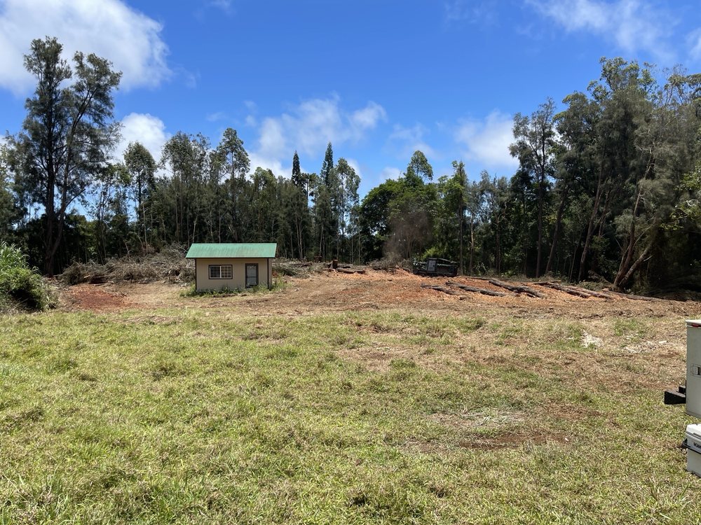 TREE WORKS - Updated May 2026 - 10 Reviews - 28-354 Sugar Mill Rd, Hilo ...