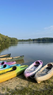 LUMS POND STATE PARK - Updated August 2025 - 87 Photos & 49 Reviews ...