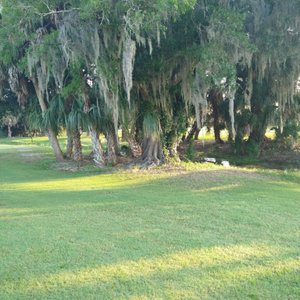 TATUM RIDGE GOLF LINKS - Updated January 2026 - 23 Reviews - 421 Tatum ...