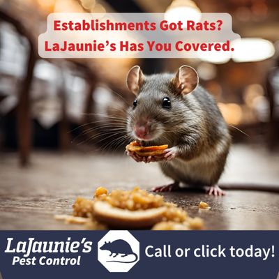 LAJAUNIE’S PEST CONTROL - Updated September 2025 - 4344 Earhart Blvd ...