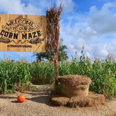 The Berry Farms - 59 Photos & 13 Reviews - Farms - 13720 SW 216th st ...