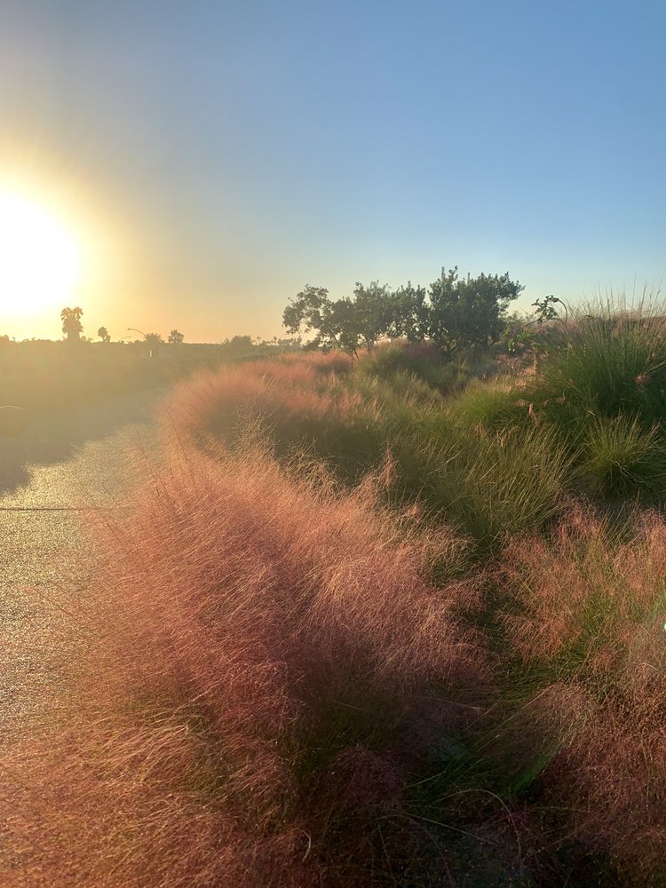 SUNSET RIDGE PARK - Updated August 2025 - 35 Photos & 15 Reviews - 4850 ...