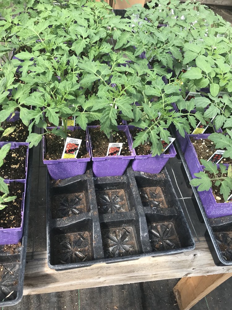 WIND RIDGE HERB FARM - Updated December 2025 - 10 Photos - 466 Quail ...