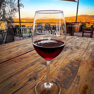 PALUMBO FAMILY VINEYARDS AND WINERY - 122 Photos & 165 Reviews - 40150 ...