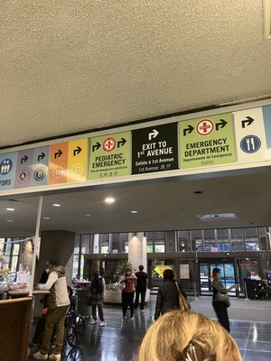 BELLEVUE HOSPITAL CENTER - Updated December 2025 - 42 Photos & 73 ...