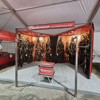 THE BIG E - Updated September 2024 - 1174 Photos & 286 Reviews - 1305 ...