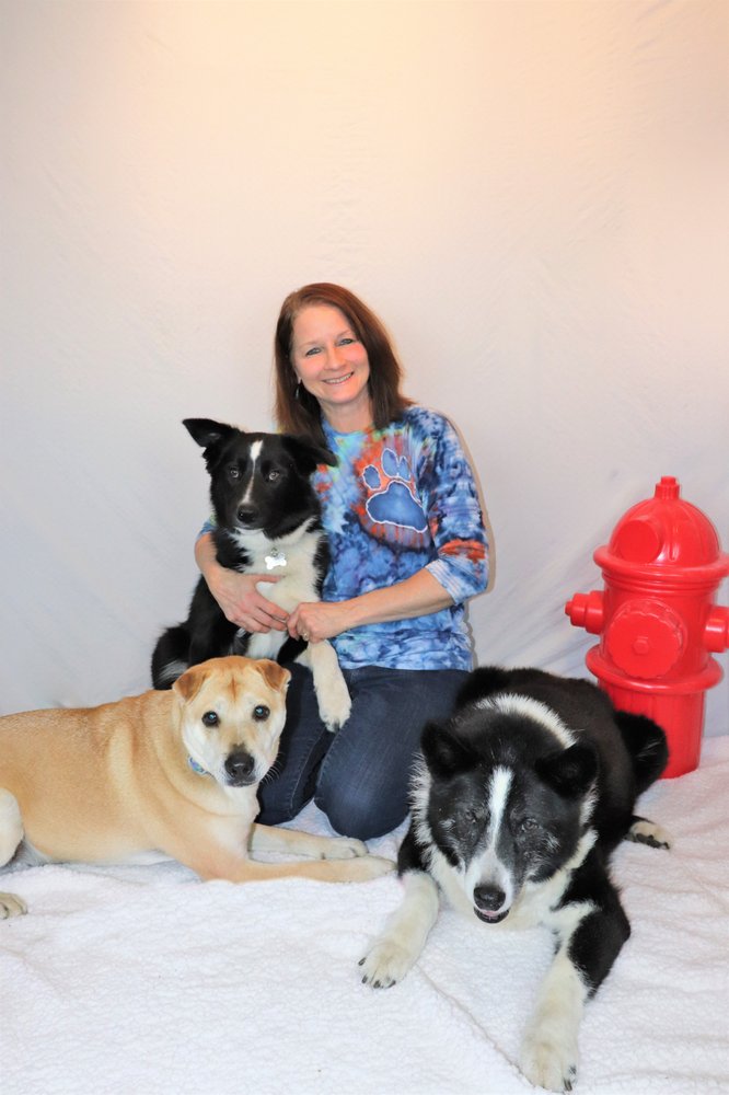 PAWS DOWN PETS DOG TRAINING - Pet Training in Vancouver, Washington at ...