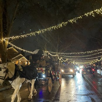 EAST SACRAMENTO’S FAB 40S CHRISTMAS LIGHTS - 239 Photos & 86 Reviews ...