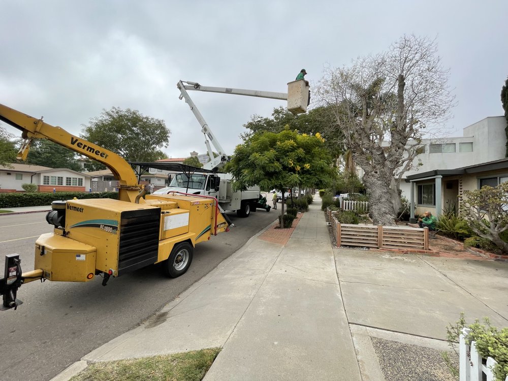 UNION TREE SERVICE - Updated August 2025 - 22 Photos & 11 Reviews ...